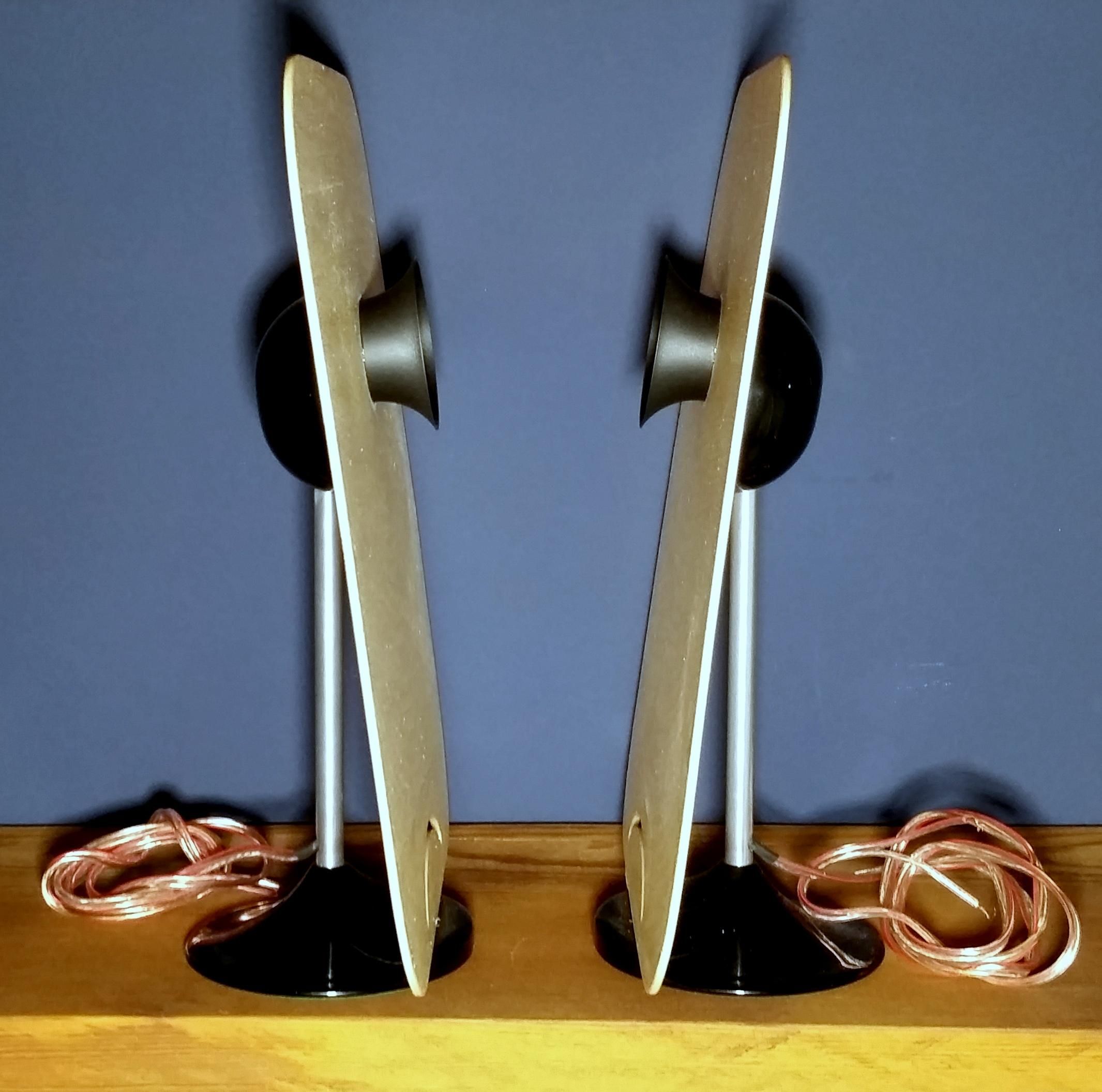 Plywood DML Speakers : 12 Steps (with Pictures) - Instructables