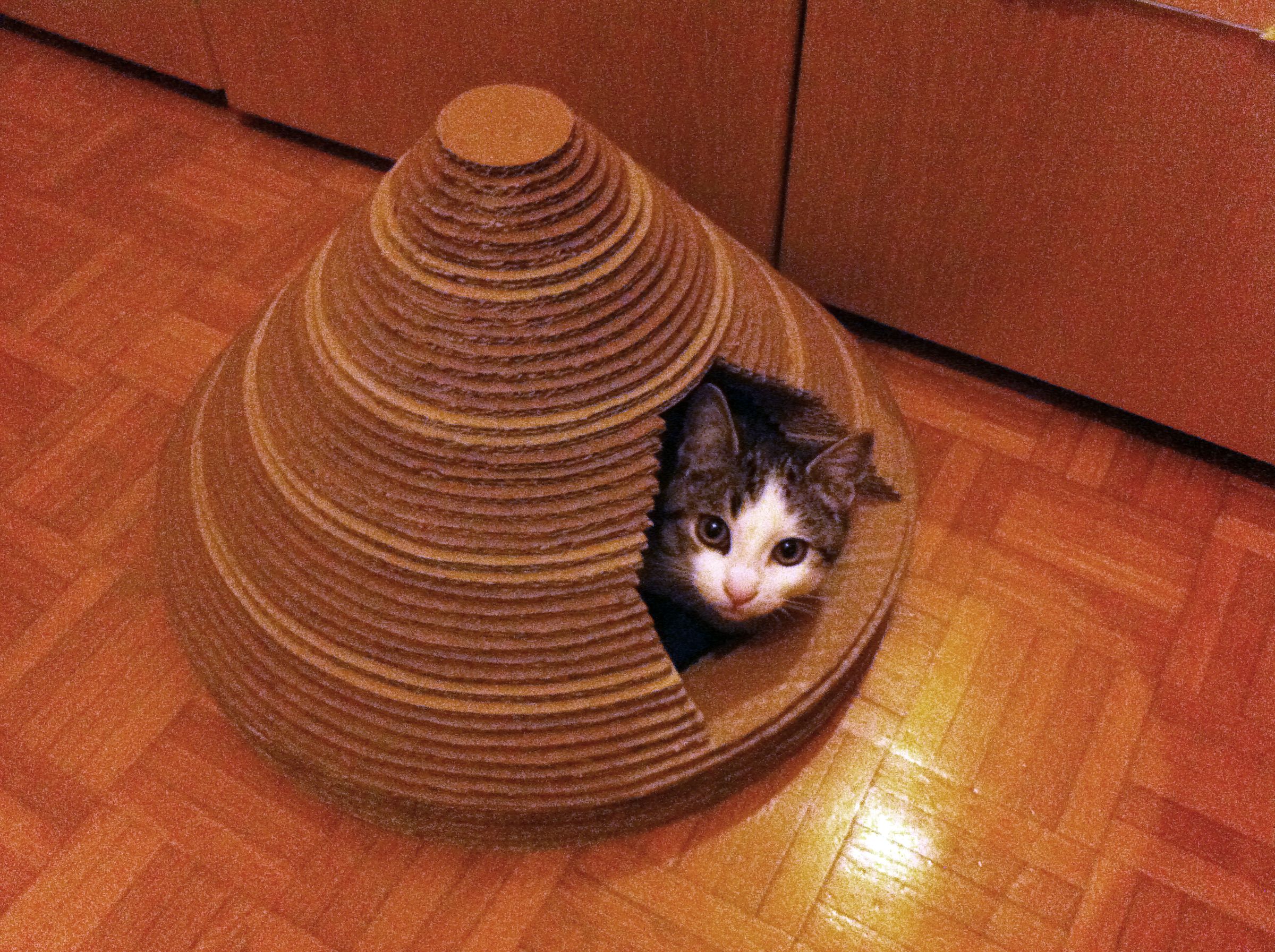 Cardboard Cat House : 10 Steps (with Pictures) - Instructables
