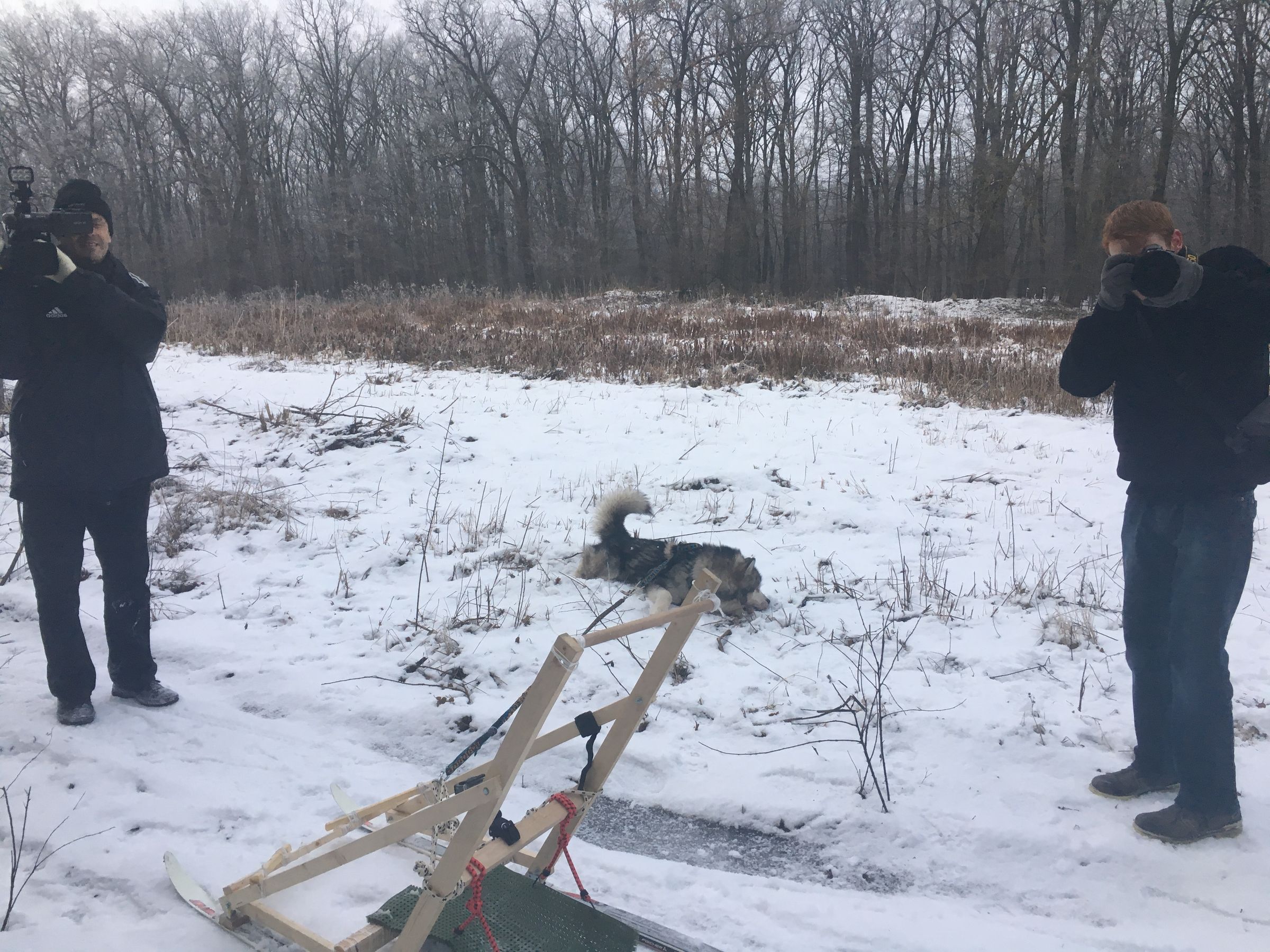 Homemade Dogsled (kicksled) : 8 Steps (with Pictures) - Instructables