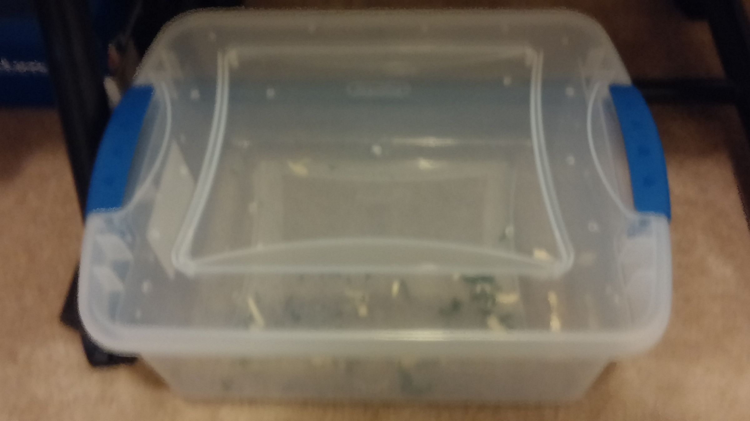 How to Set Up a Reptile Terrarium : 8 Steps (with Pictures) - Instructables