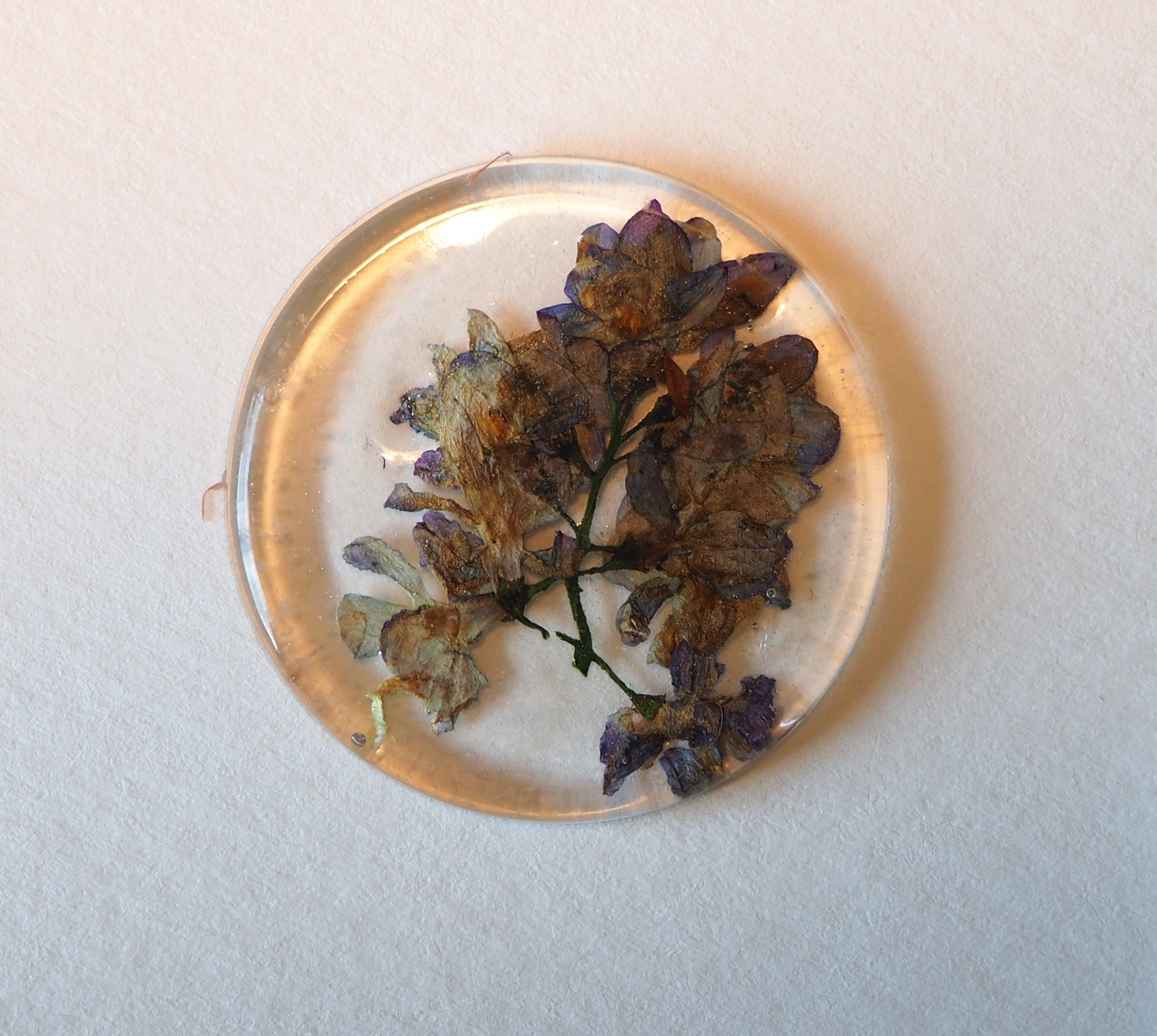 Techniques to Embed Flowers in Resin : 12 Steps (with Pictures ...
