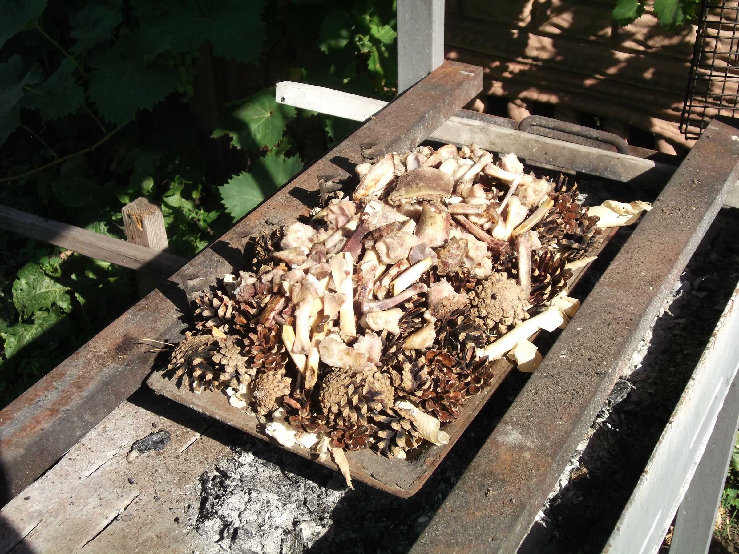 Processing Animal Bones for Composting (the Easy Way) : 7 Steps (with ...