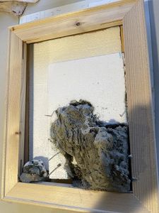Rock Garden Frame Made of Concrete, Rock, Plants, and Other Used ...