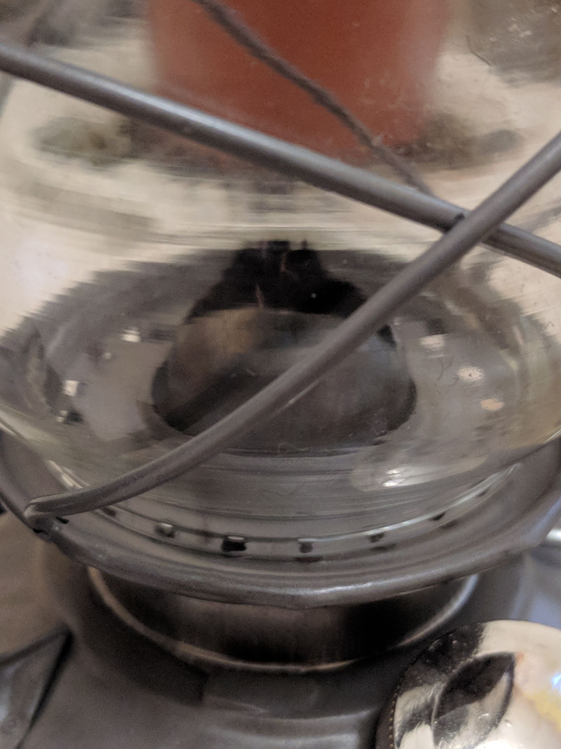 Permanent Oil Lamp Wick. : 4 Steps - Instructables