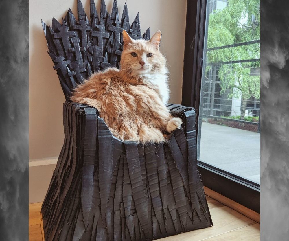 Cardboard Iron Throne Cat Bed : 6 Steps (with Pictures) - Instructables