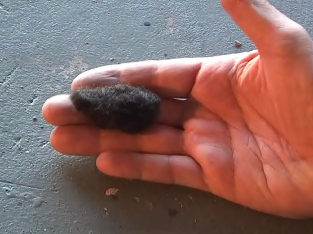 A Real Nasty Stink Bomb! : 3 Steps - Instructables