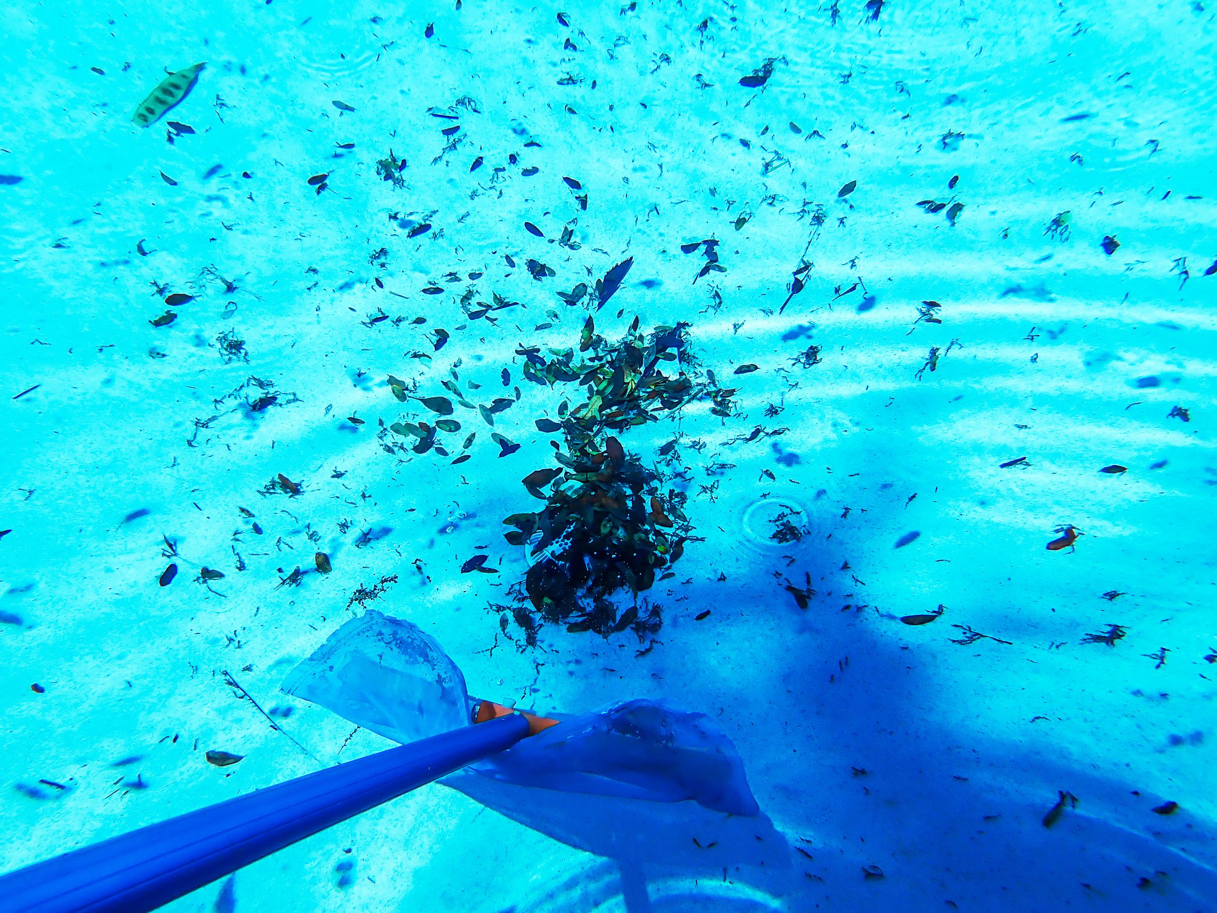 How to Clean a Pool Cartridge Filter System : 15 Steps (with Pictures ...