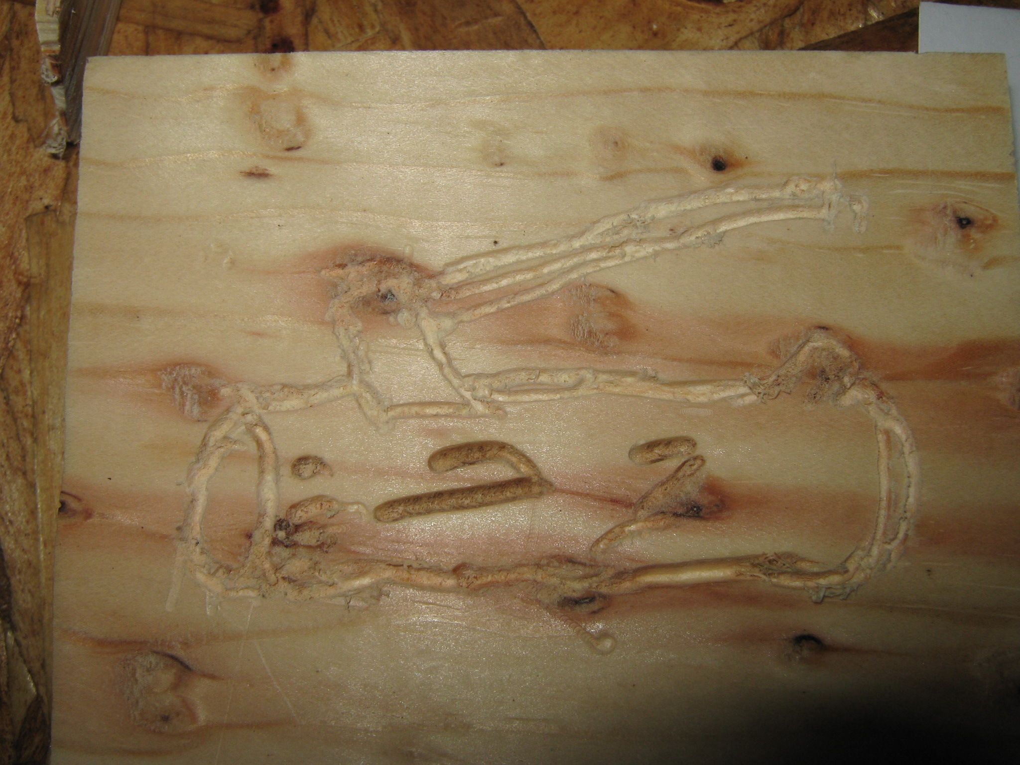 3D Pantograph : 11 Steps - Instructables