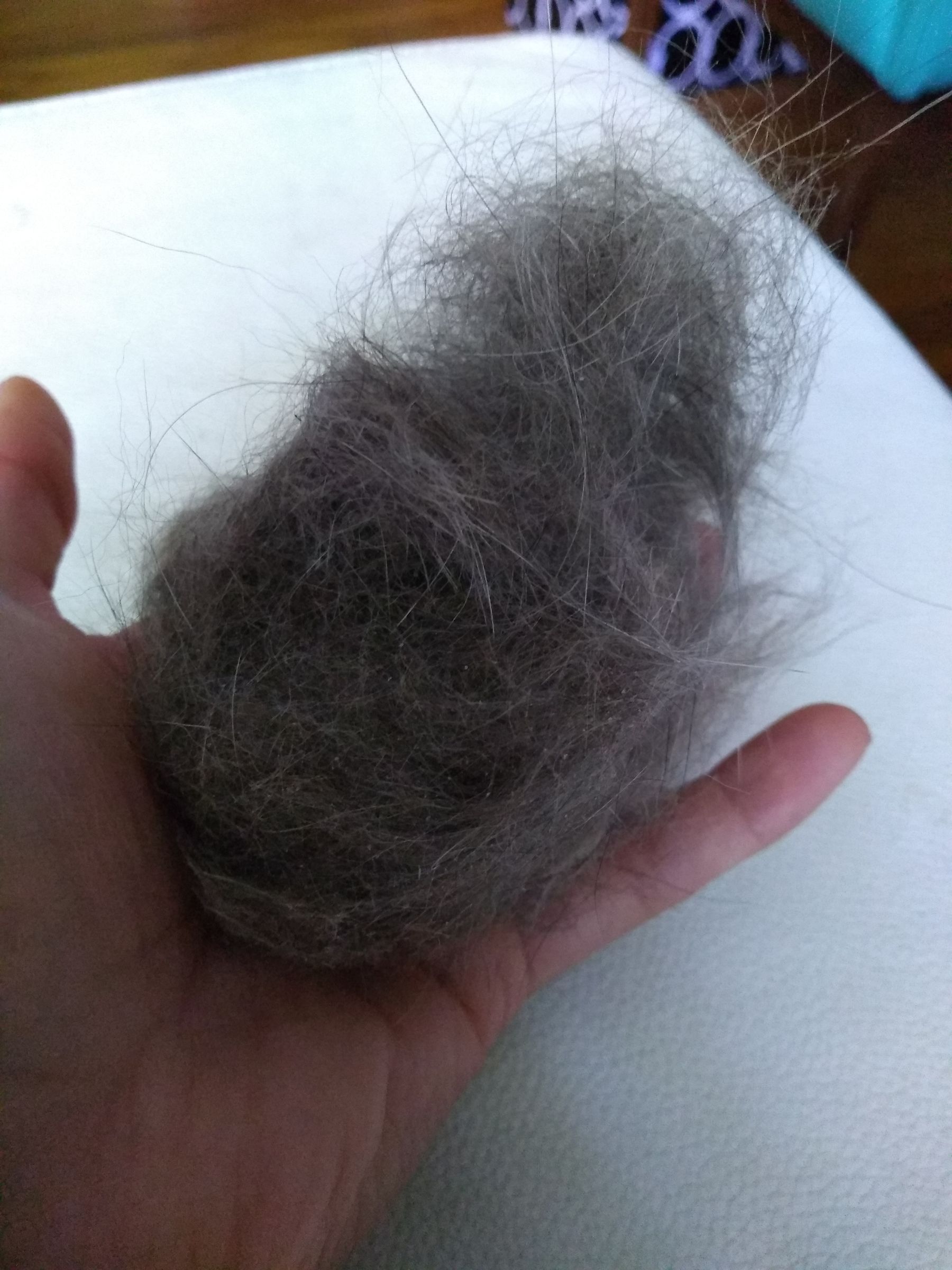 Felting a Mini Kitty From Your Cat's Fur : 10 Steps (with Pictures ...