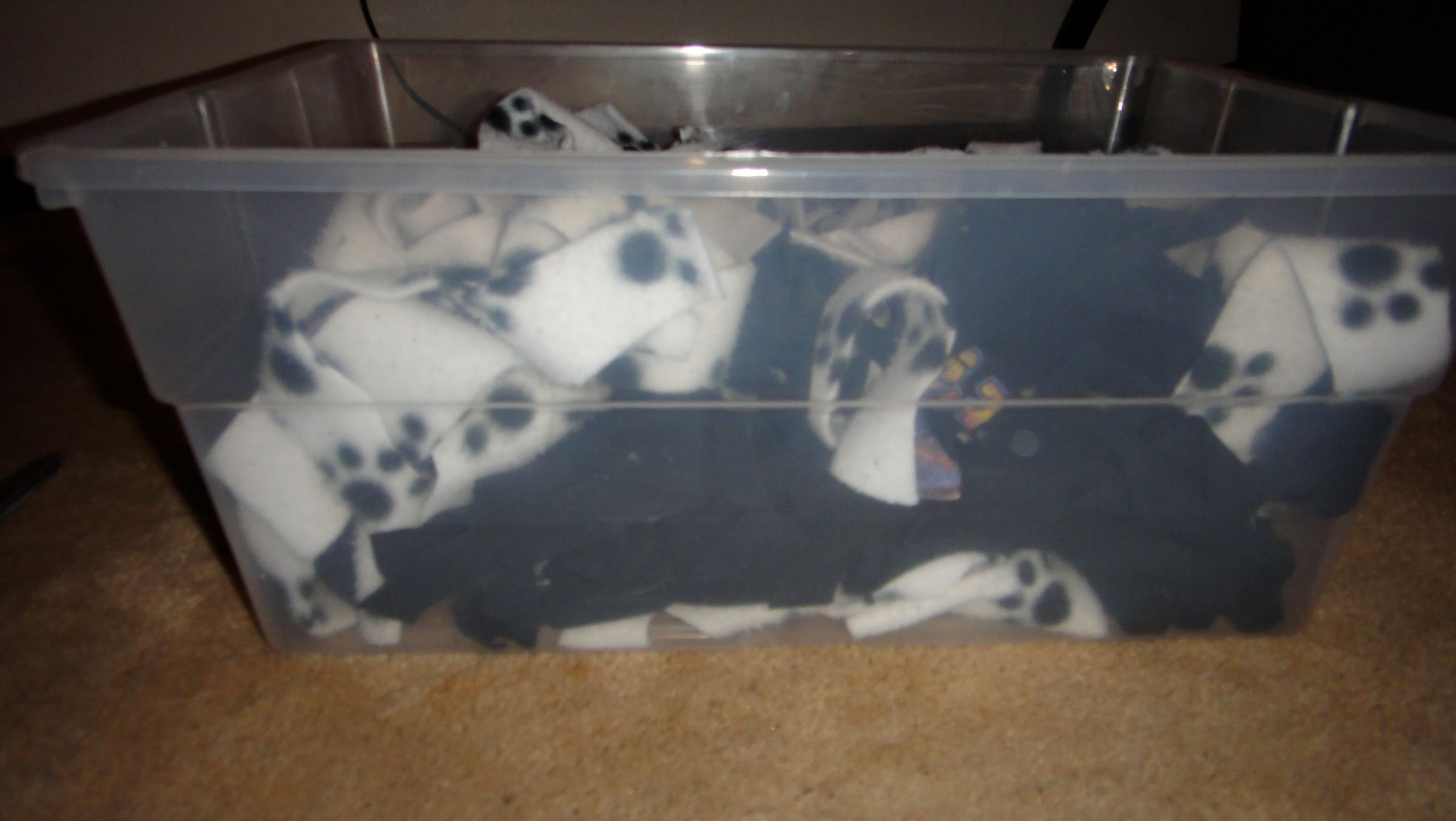 Simple Hedgehog Dig Box : 3 Steps (with Pictures) - Instructables