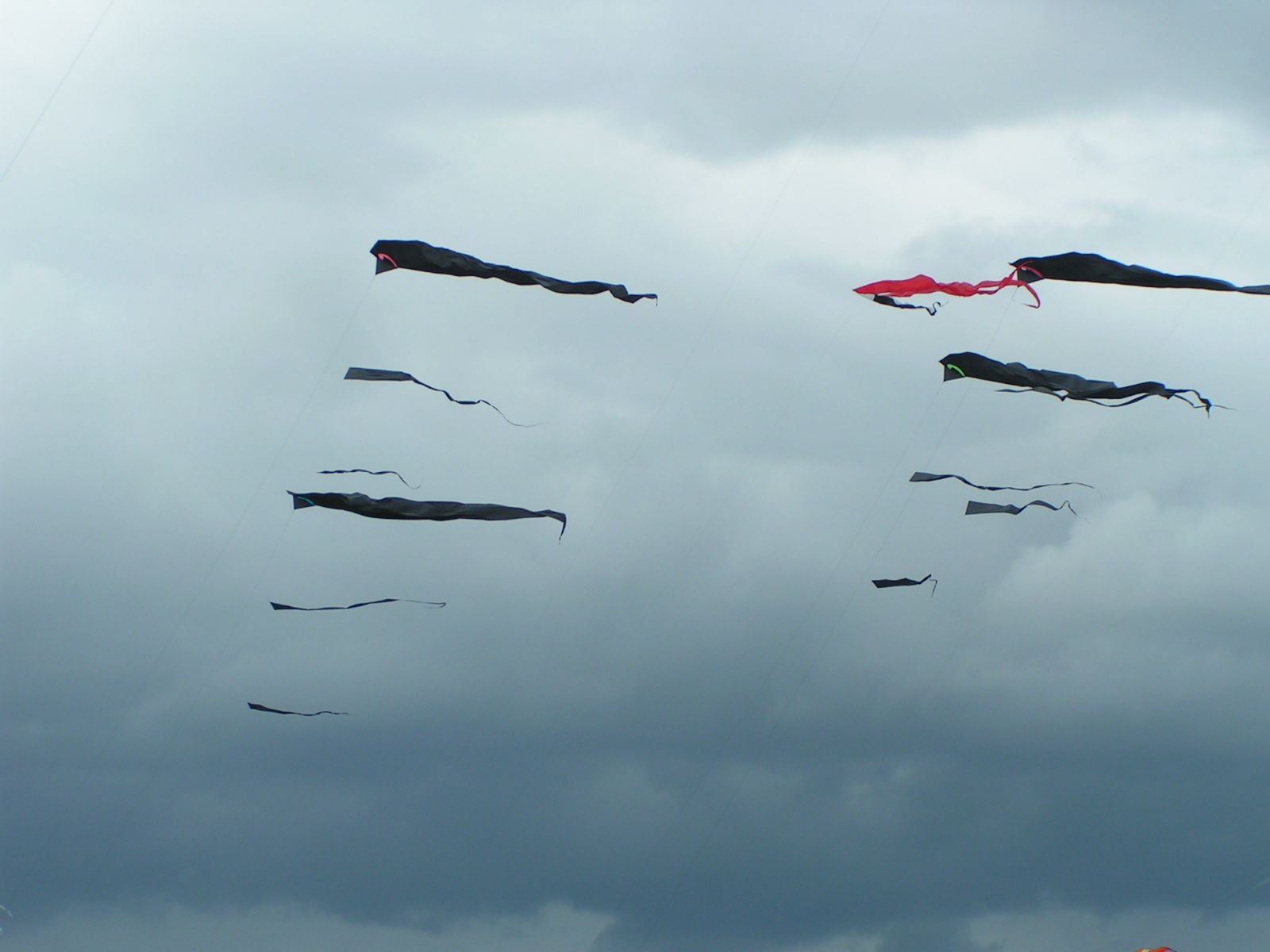 Some Kiting Basics : 7 Steps (with Pictures) - Instructables