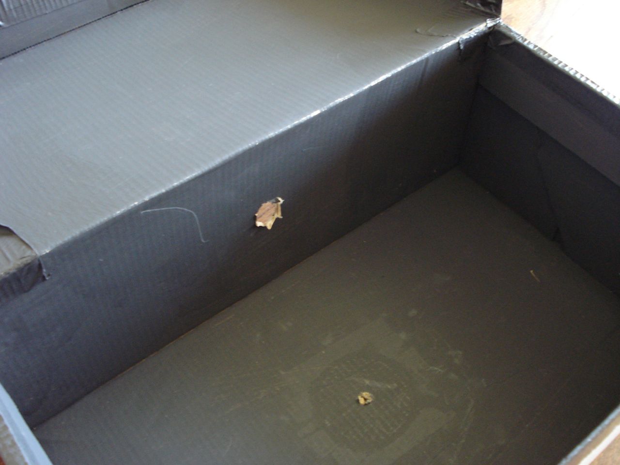 Shoebox Camera : 7 Steps (with Pictures) - Instructables