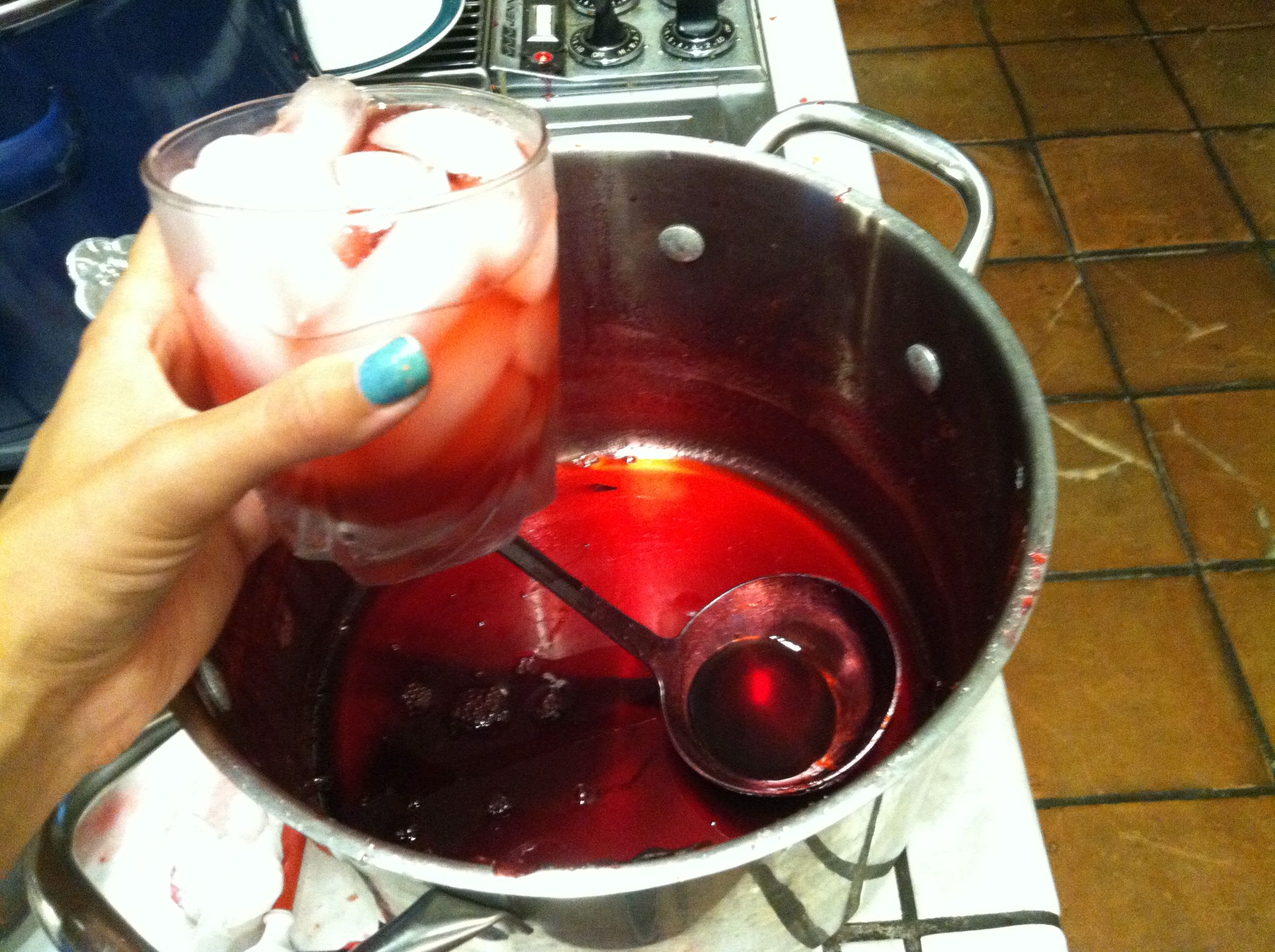 Roselle Syrup for Drinks! : 5 Steps (with Pictures) - Instructables