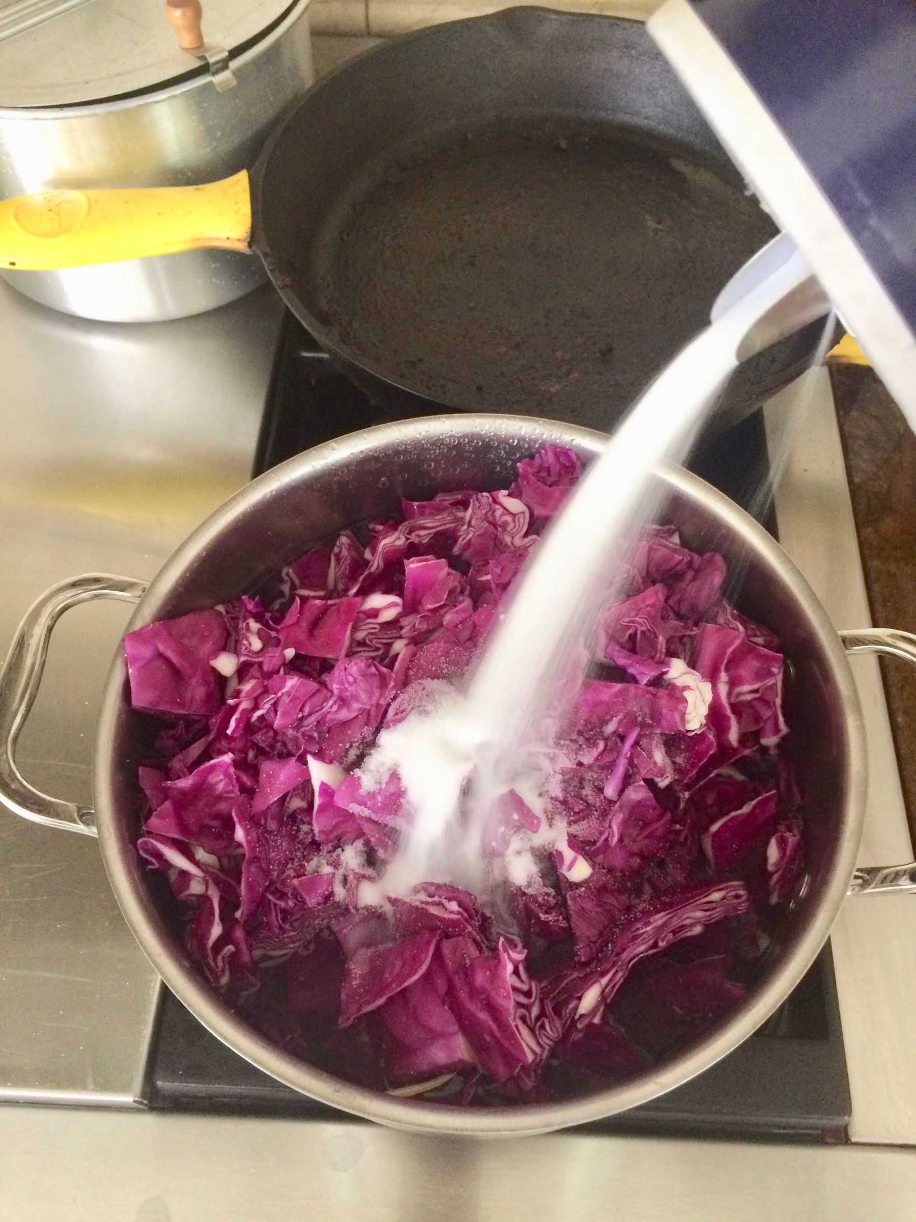 All-Natural Cabbage Dye : 8 Steps (with Pictures) - Instructables