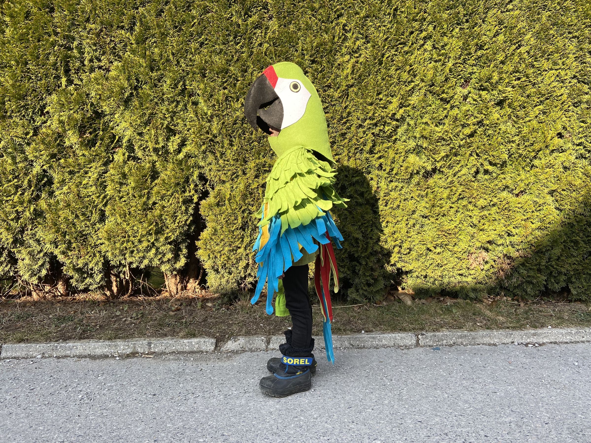 Parrot Mask and Wings : 11 Steps (with Pictures) - Instructables