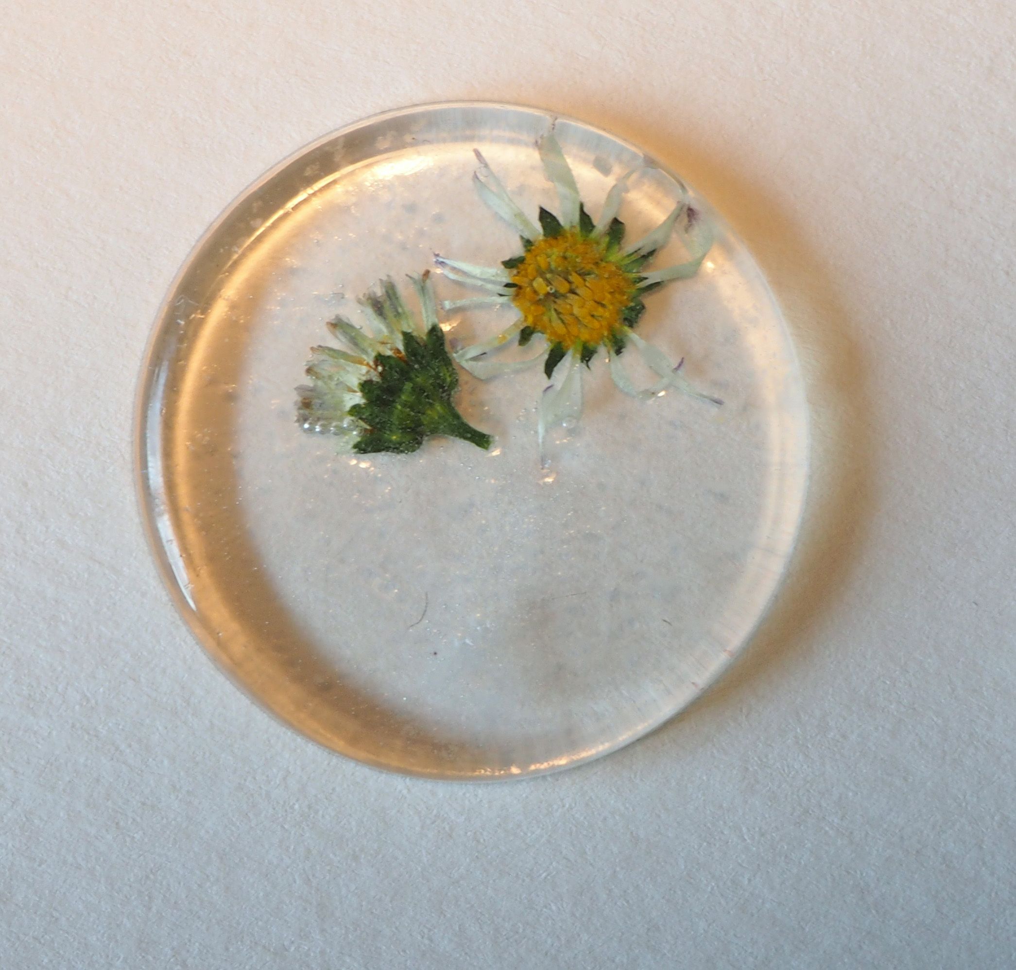 Techniques to Embed Flowers in Resin : 12 Steps (with Pictures ...