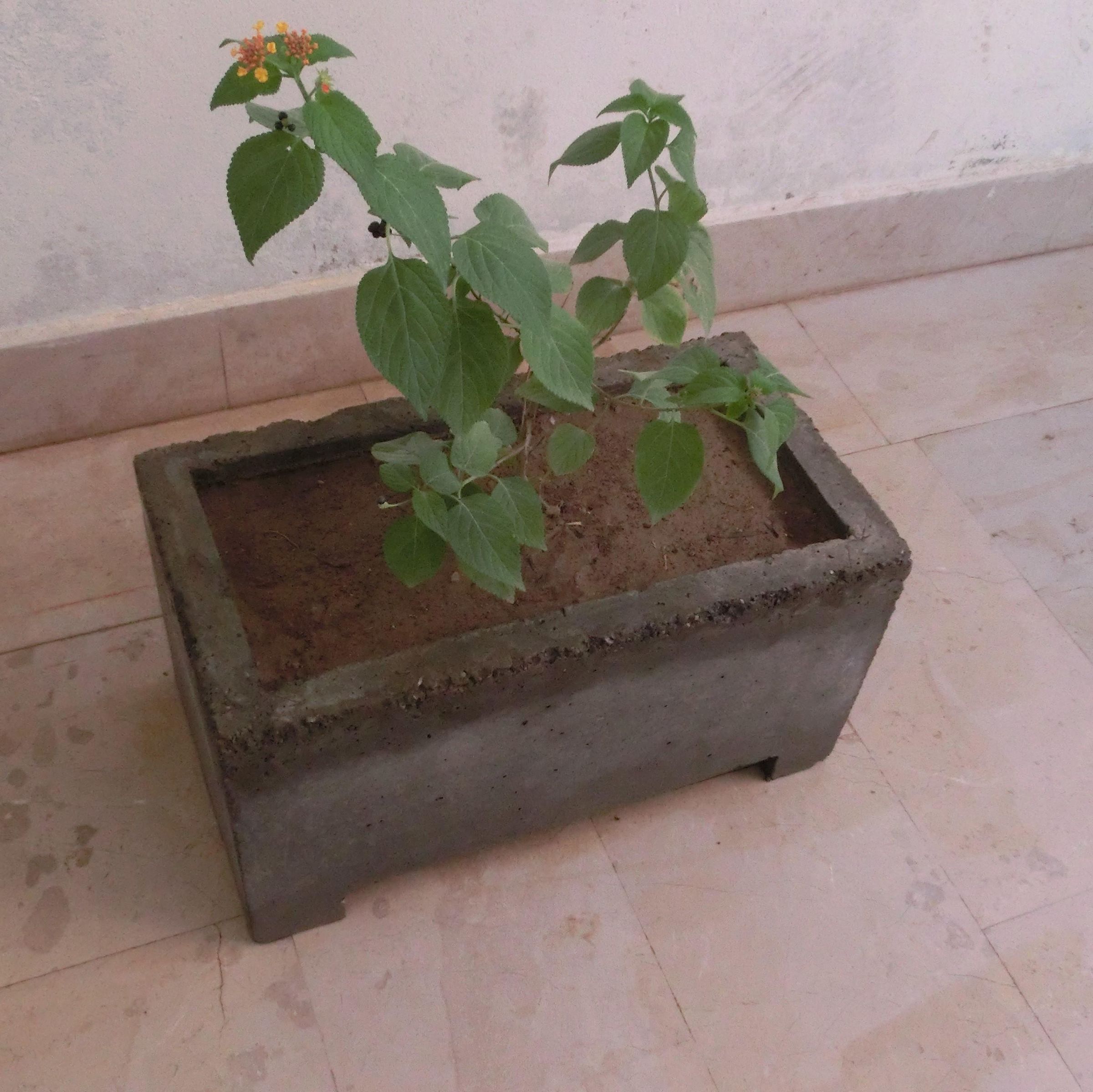 How to Make a Concrete Planter : 7 Steps (with Pictures) - Instructables