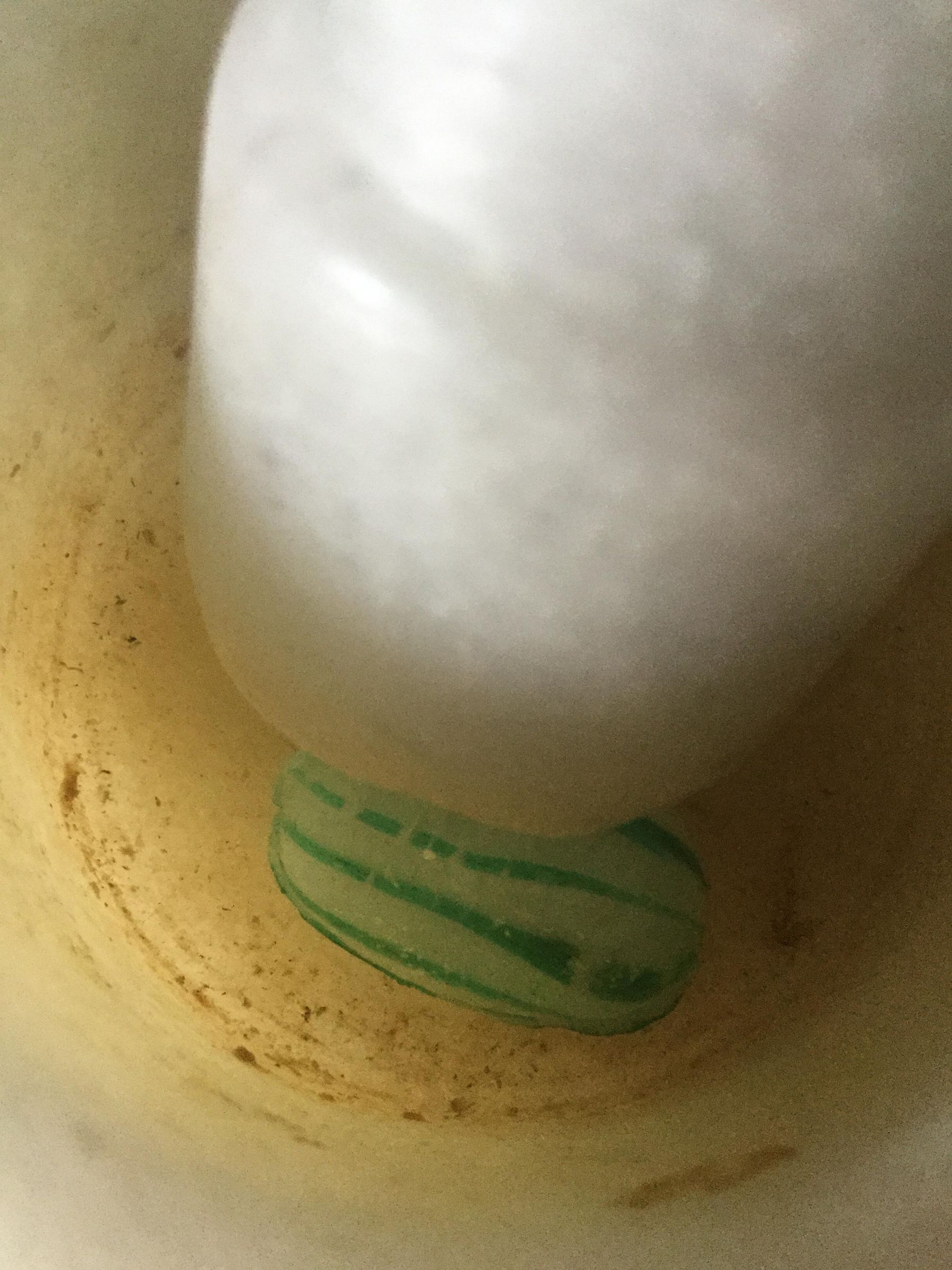 Marine Ecosystem Model With Candy! : 30 Steps - Instructables