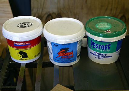 Rat Bait Station : 8 Steps - Instructables