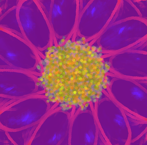 P5.JS Basics - Shapes, Colors and Animation : 10 Steps (with Pictures ...