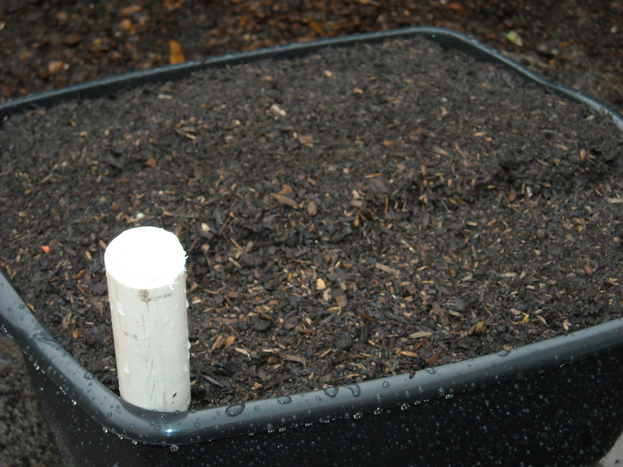 TerraHydro Boxes, the Ultimate Self-Watering Vegetable Container System ...