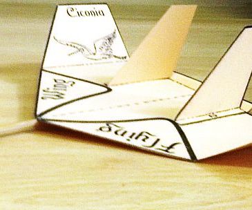 flying wings DIY Project - Step-by-Step DIY Project | FindingDIY