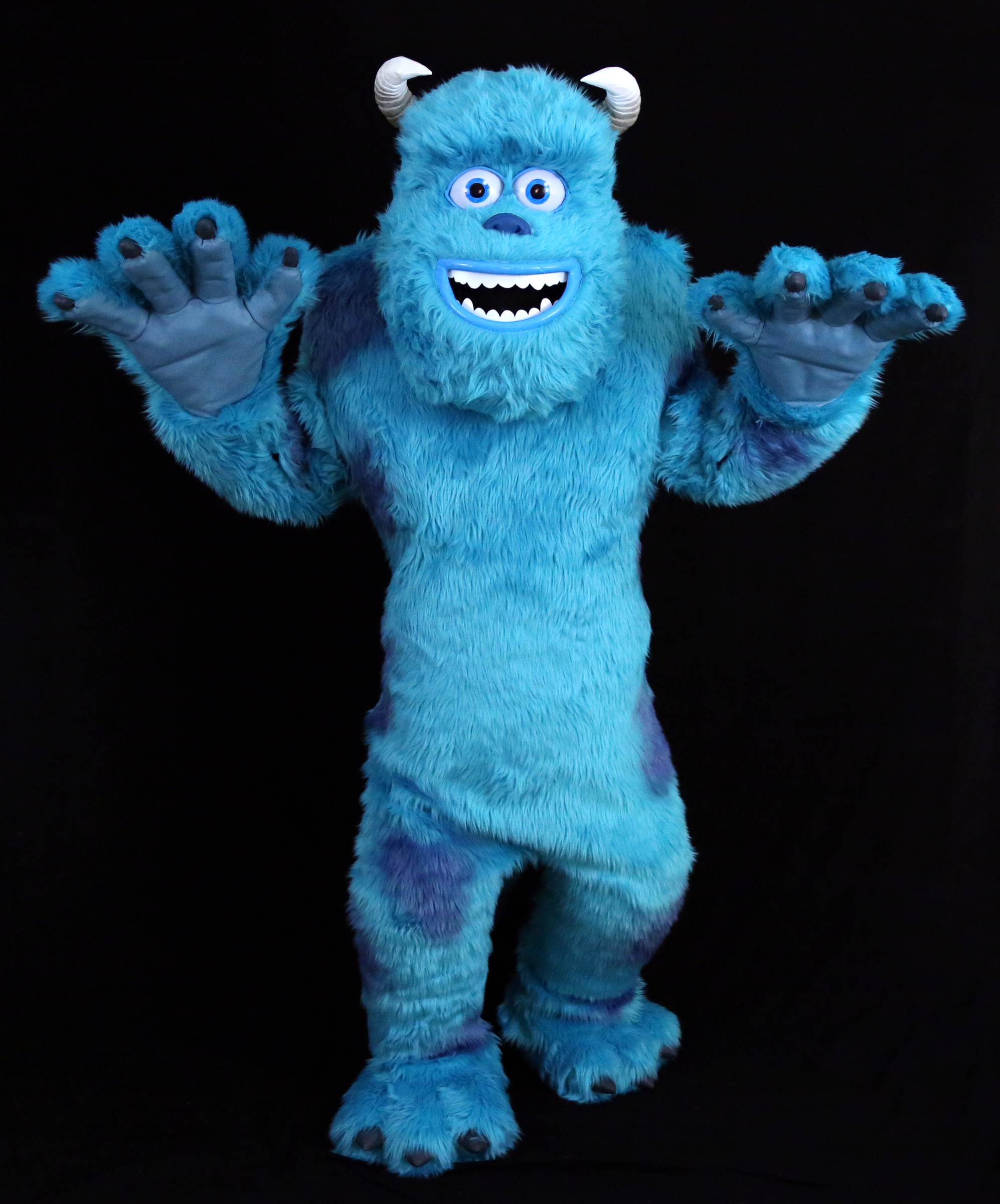 Sully From Monsters Inc : 11 Steps (with Pictures) - Instructables