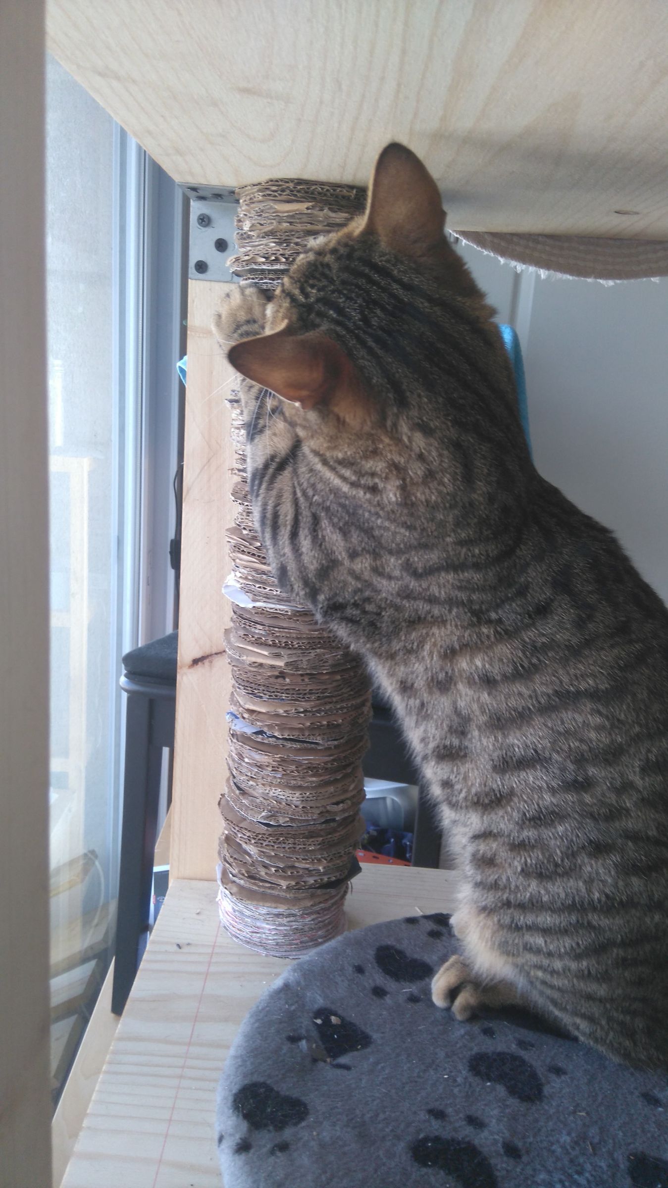 Cardboard Scratching Post : 4 Steps (with Pictures) - Instructables