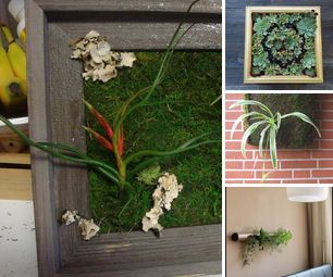 how to make a living wall DIY Project - Step-by-Step DIY Project ...