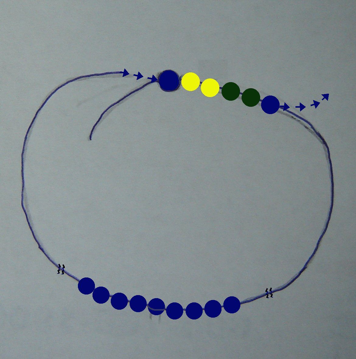 The Double Helix -Glass Bead DNA Model V2.0 : 6 Steps (with Pictures ...