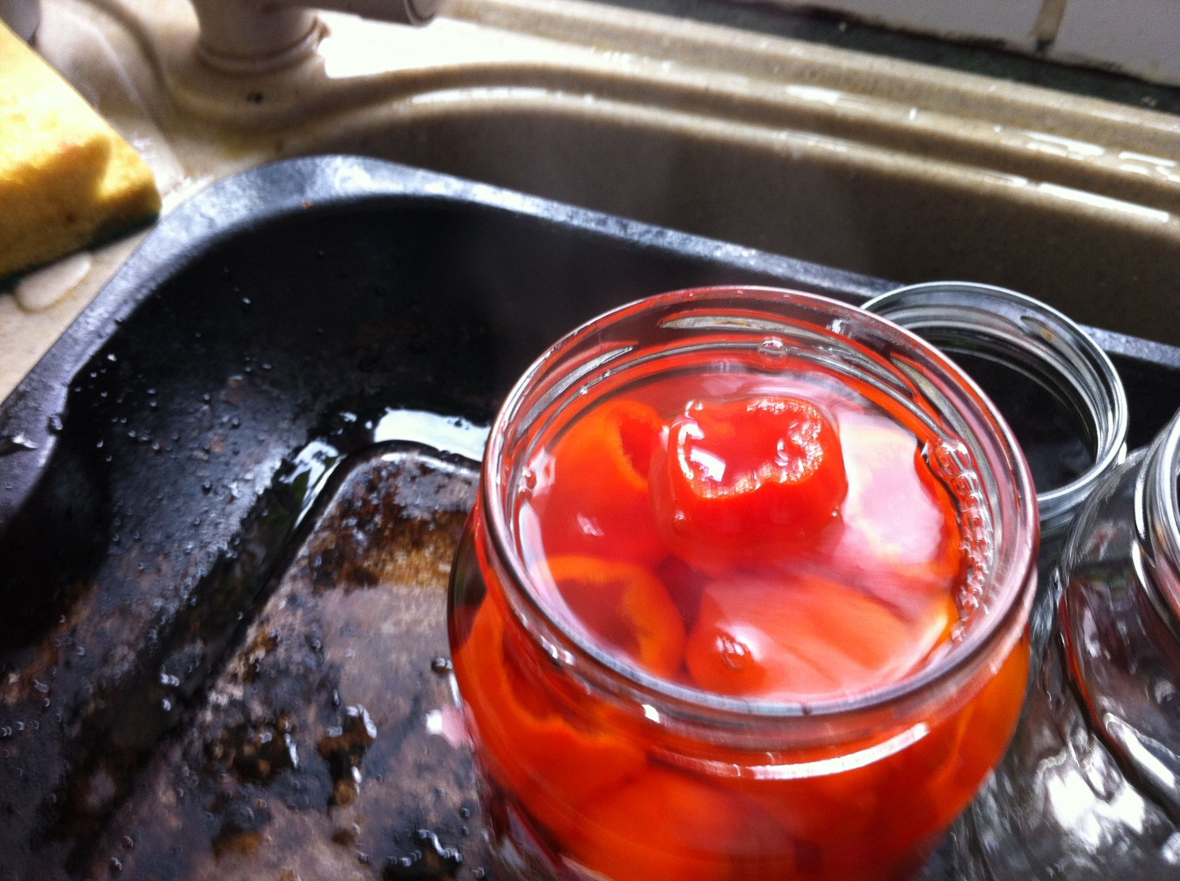 Sweet Pepperdew Peppers : 5 Steps - Instructables