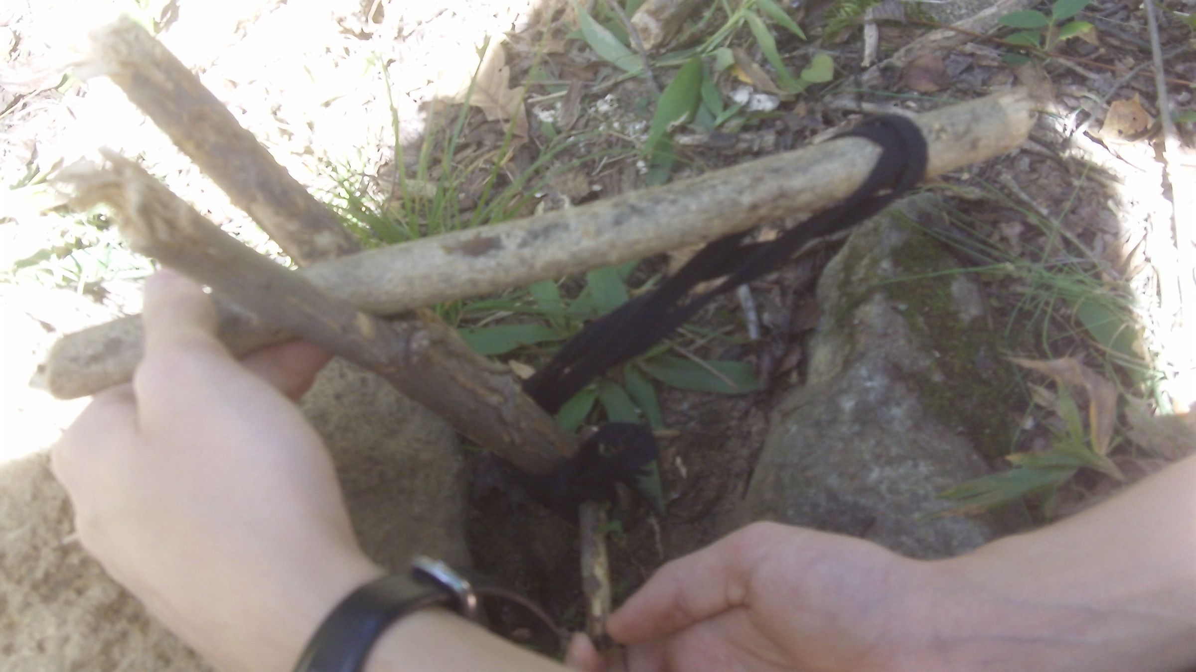 Paiute Deadfall Trap : 6 Steps - Instructables