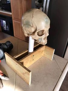 Milk Jug Skulls : 10 Steps (with Pictures) - Instructables