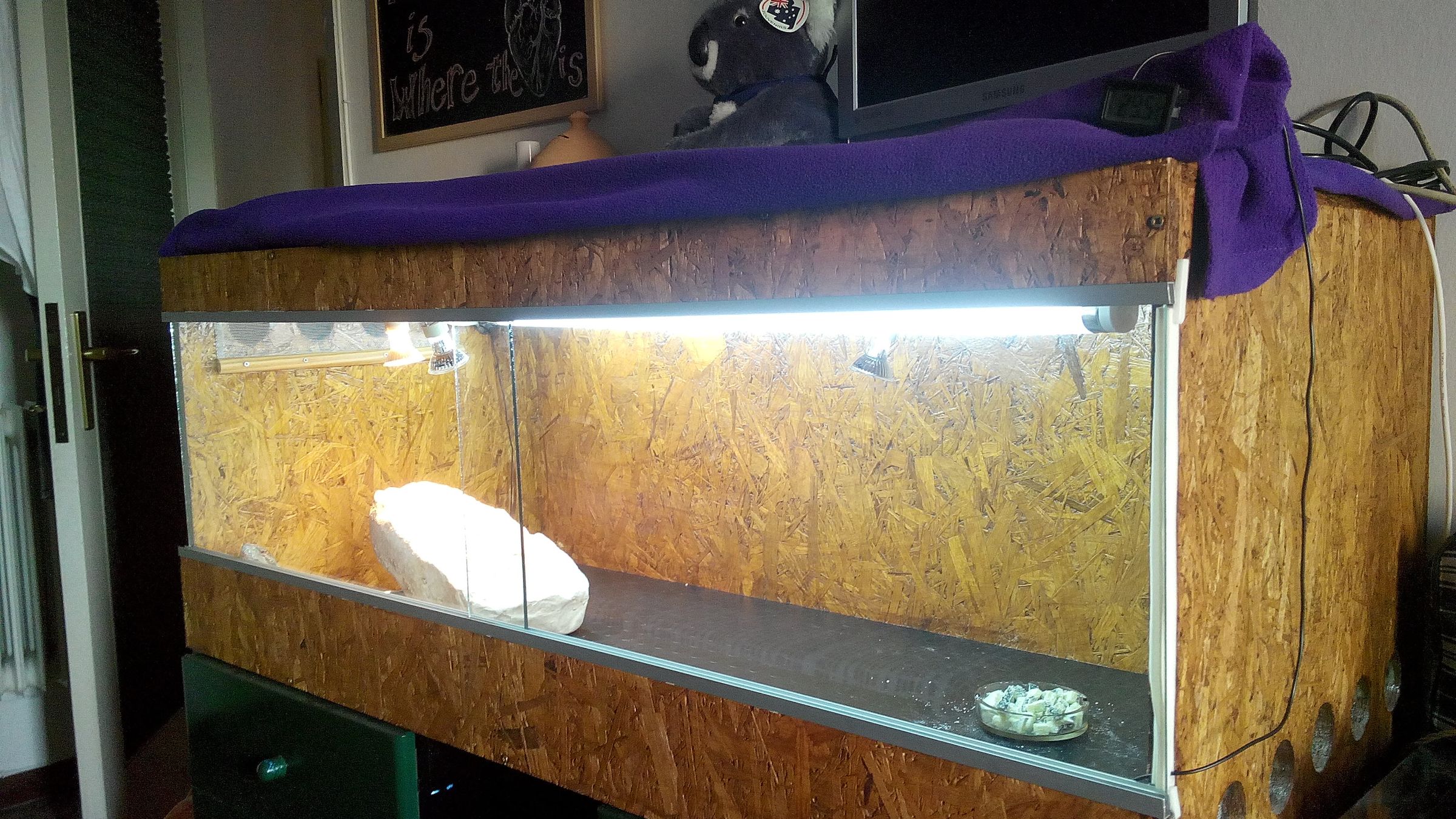 Turning a Bookshelf Into a Lizard Habitat. : 4 Steps (with Pictures ...