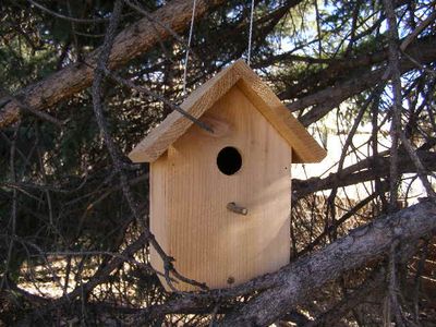 Building the $2 Birdhouse : 8 Steps (with Pictures) - Instructables