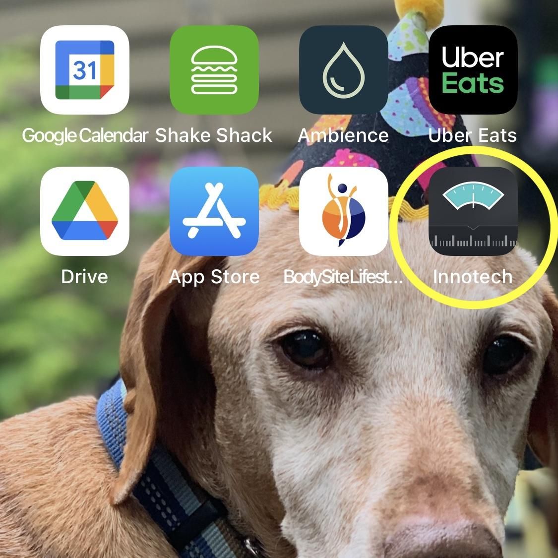 How to Sync Your Innotech Scale With Bodysite Using an IPhone : 7 Steps ...
