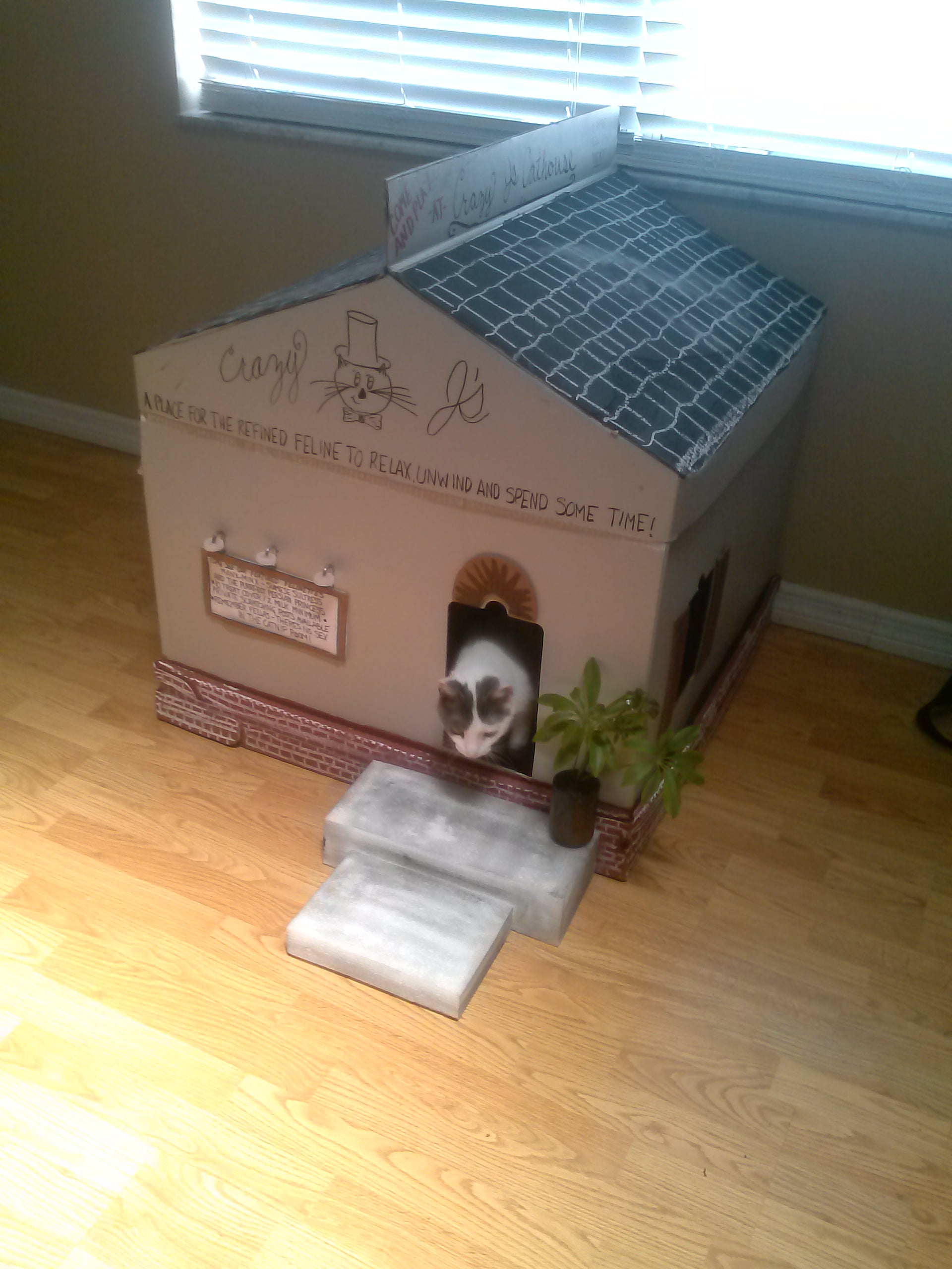 How To Make An Awesome Cathouse 7 Steps Instructables