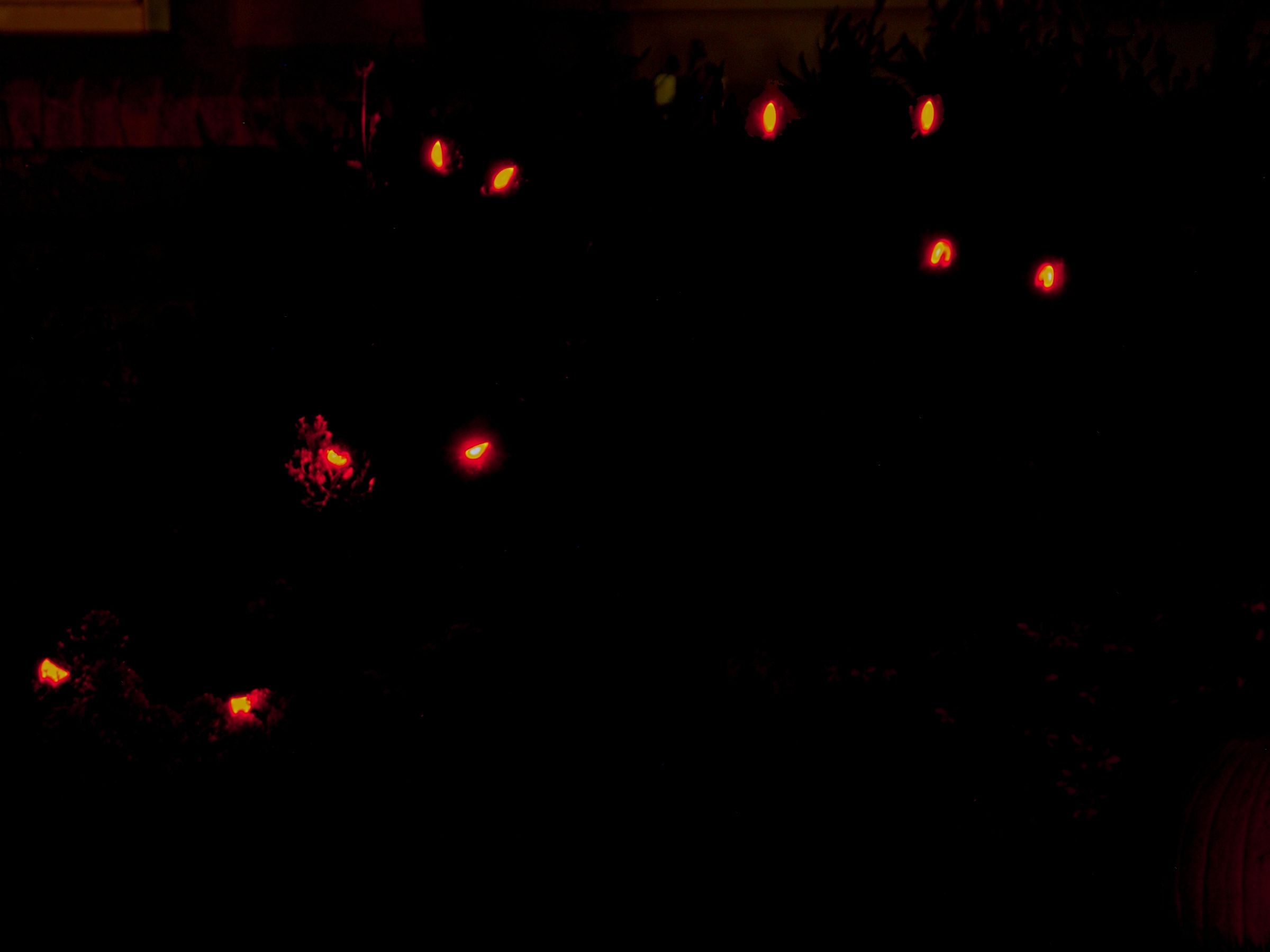 Super Spooky Evil LED Eyes of Doom Using AtTiny85 and Arduino IDE : 10 ...