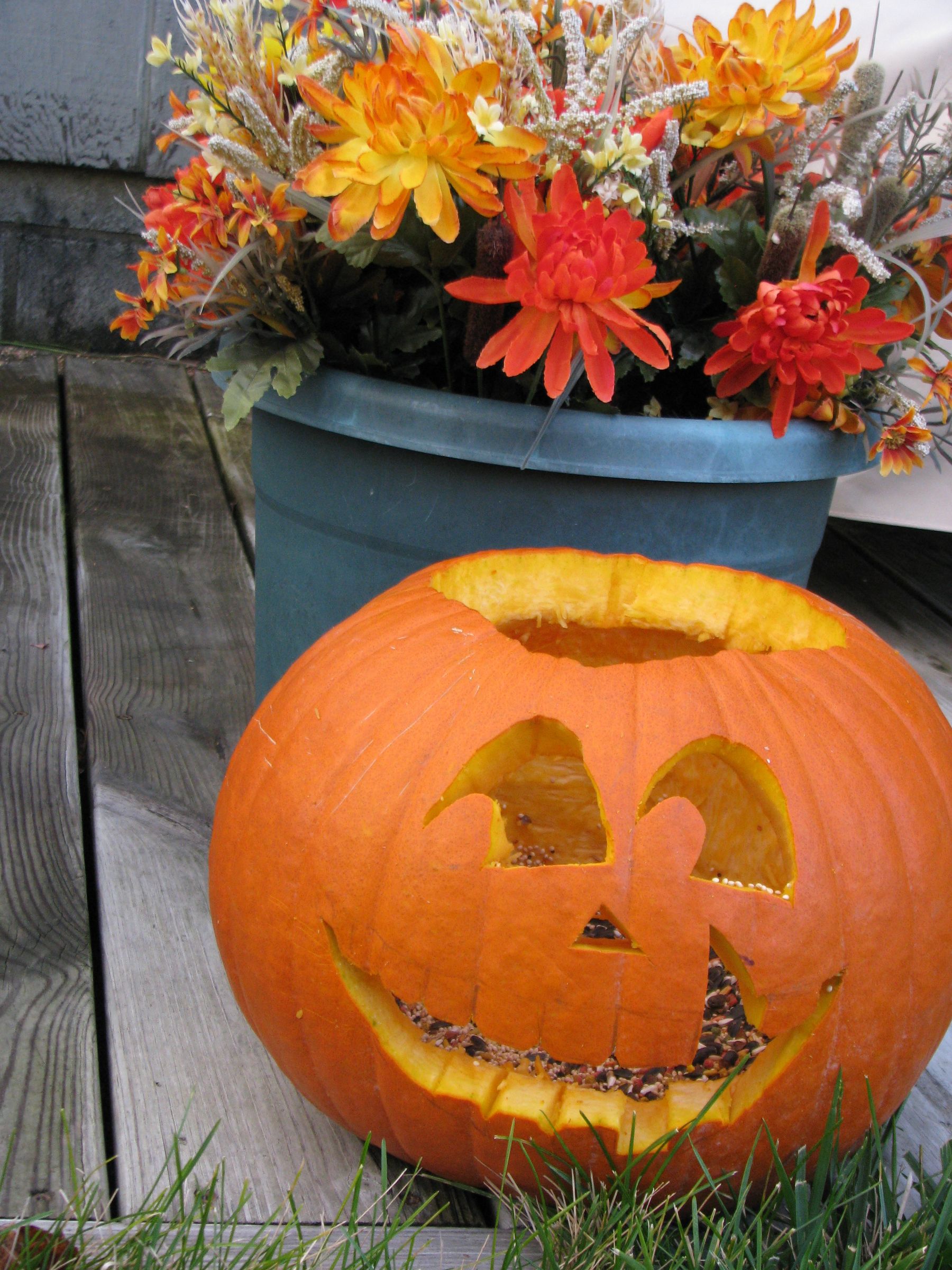 Pumpkin Bird Feeder : 3 Steps - Instructables