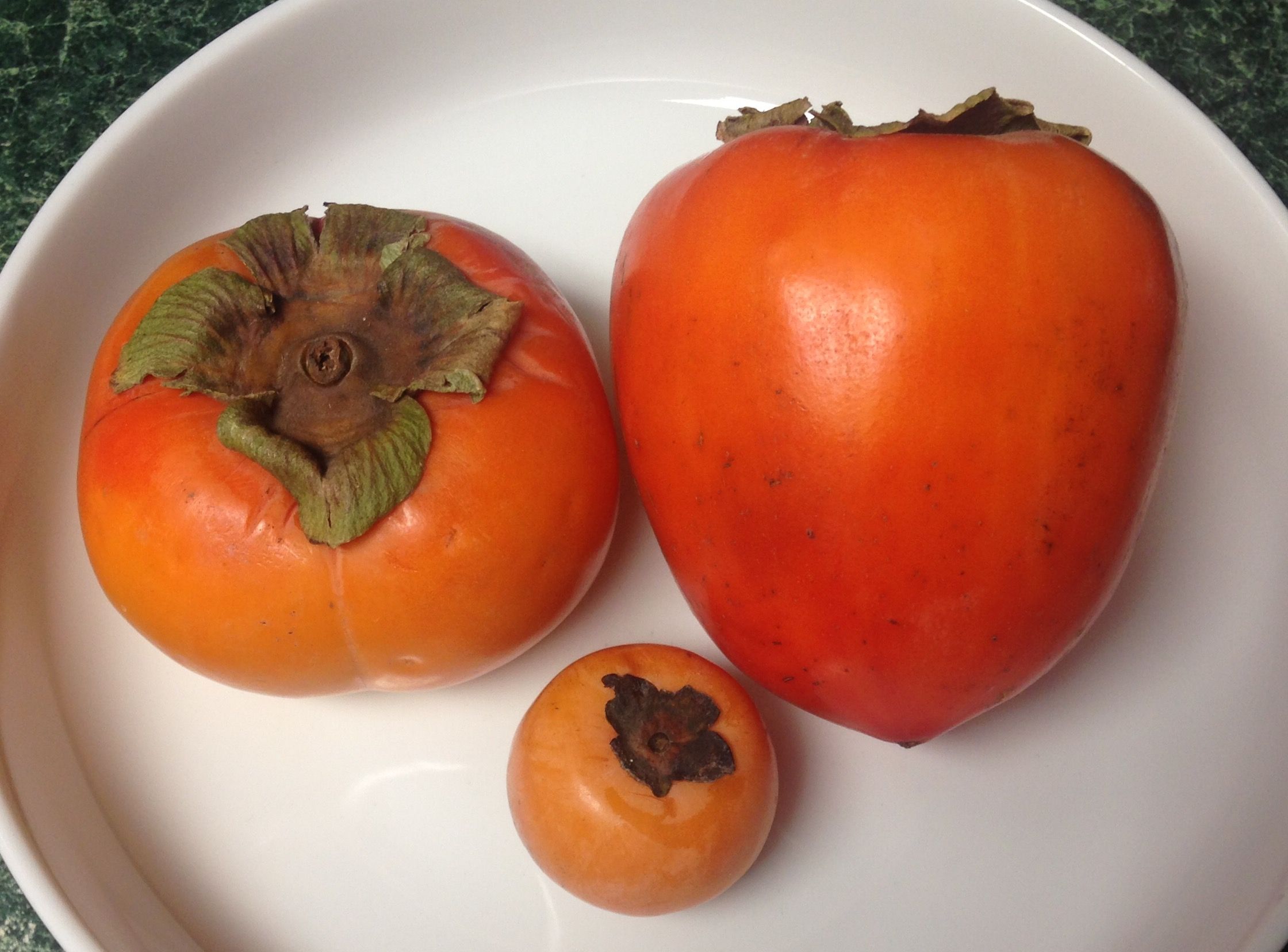 Harvesting, Processing, Cooking - Native Persimmon Bread : 18 Steps ...