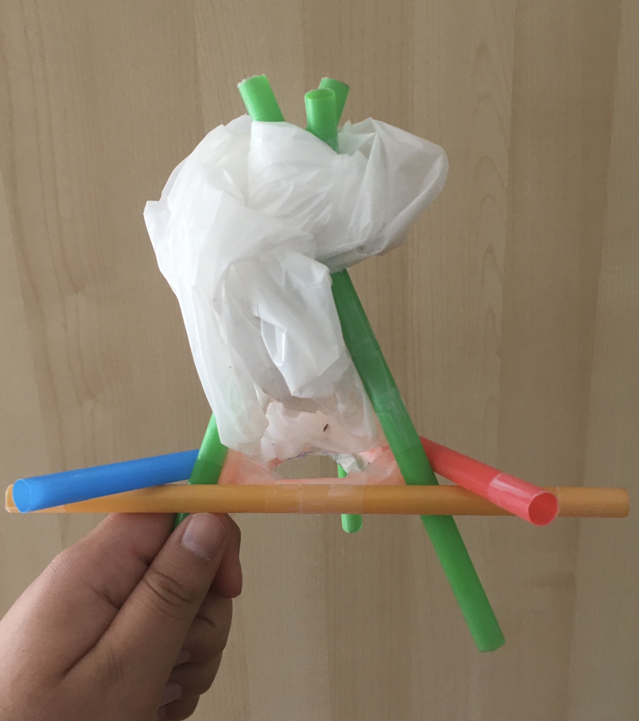 Easy and Lightweight Egg Drop Protection Device : 5 Steps - Instructables