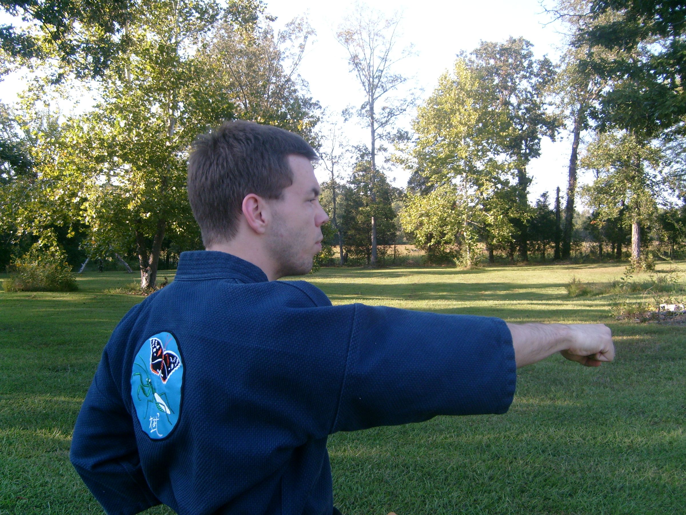 How to Throw a Punch : 6 Steps (with Pictures) - Instructables