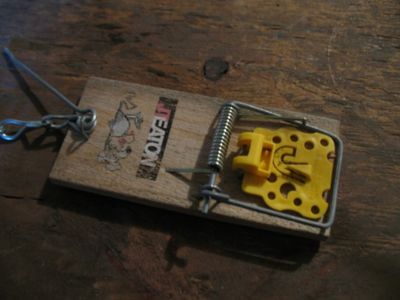 How to Trap a Mouse : 6 Steps - Instructables