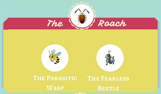 How to Use Natural Predators Against Fleas, Flies and Cockroaches : 4 ...