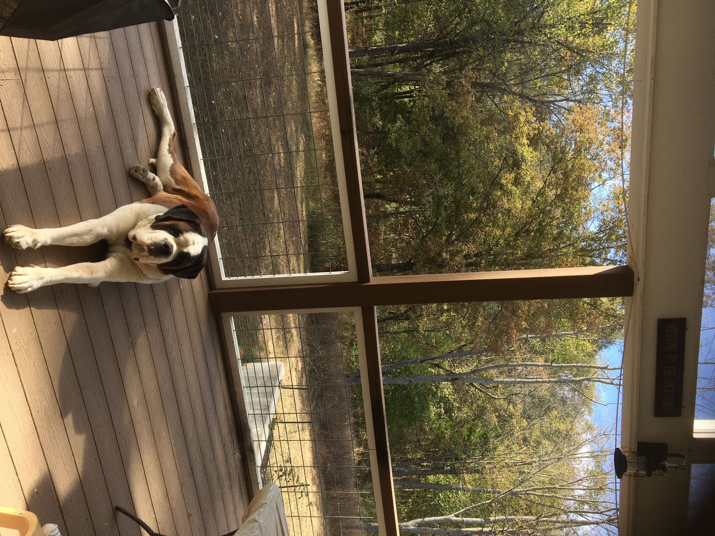 DIY Inexpensive Deck Rails Out of Steel Conduit! (with Pictures ...