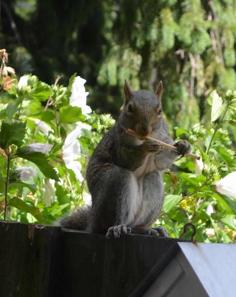 Emergent Insect Hotels : 6 Steps (with Pictures) - Instructables