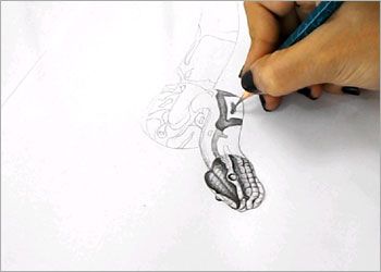 3D Drawings : How to Make 3d Snake Step by Step : 4 Steps - Instructables