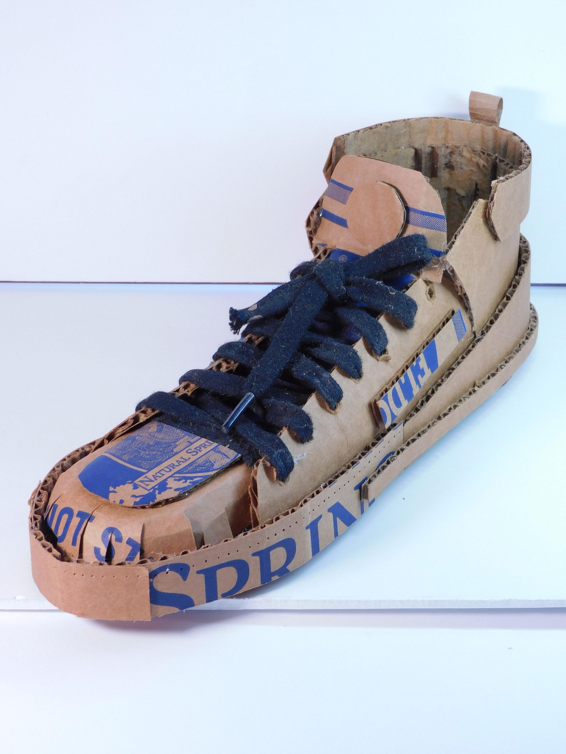 How to Make a Cardboard Sneaker... : 6 Steps (with Pictures ...