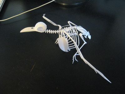 Paper Crow Skeleton : 13 Steps (with Pictures) - Instructables