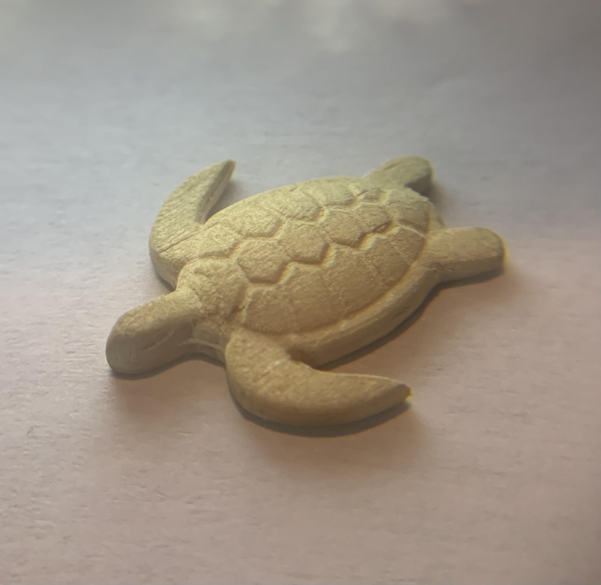 Machined Tiny Turtles for Arts and Crafts : 4 Steps (with Pictures ...